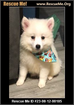 - Nebraska Dog Rescue - ADOPTIONS - Rescue Me!