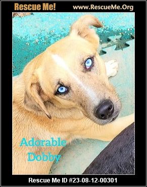 - Minnesota Dog Rescue - ADOPTIONS - Rescue Me!