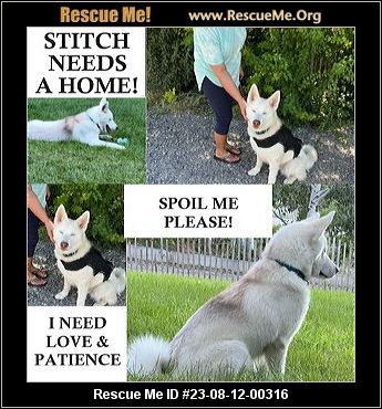 - Utah Dog Rescue - ADOPTIONS - Rescue Me!