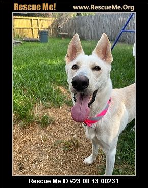 - Texas German Shepherd Rescue - ADOPTIONS - Rescue Me!