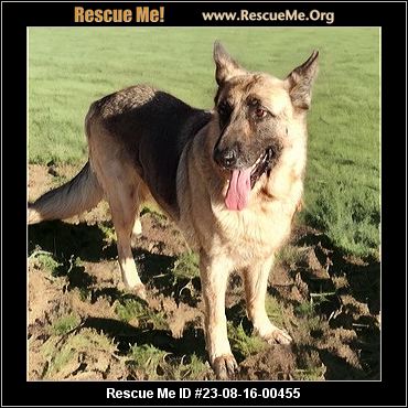 - Pennsylvania German Shepherd Rescue - ADOPTIONS - Rescue Me!