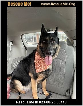 - Indiana German Shepherd Rescue - ADOPTIONS - Rescue Me!