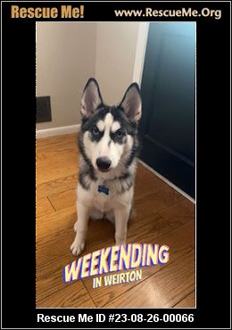 - West Virginia Dog Rescue - ADOPTIONS - Rescue Me!