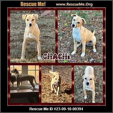 - South Carolina Dog Rescue - ADOPTIONS - Rescue Me!
