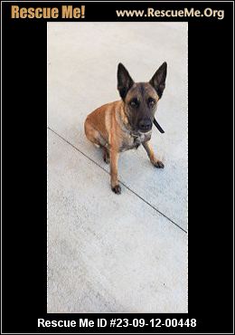 - South Carolina Dog Rescue - ADOPTIONS - Rescue Me!