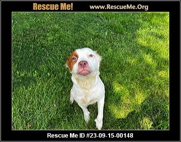 - Indiana Dog Rescue - ADOPTIONS - Rescue Me!