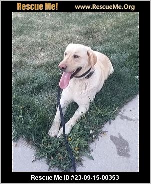 - Utah Dog Rescue - ADOPTIONS - Rescue Me!