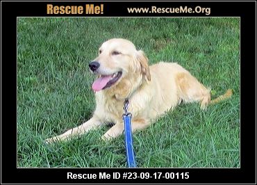 - Indiana Dog Rescue - ADOPTIONS - Rescue Me!