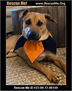 - North Carolina Dog Rescue - ADOPTIONS - Rescue Me!