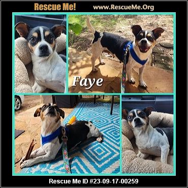 - South Carolina Dog Rescue - ADOPTIONS - Rescue Me!