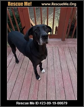 - West Virginia Dog Rescue - ADOPTIONS - Rescue Me!