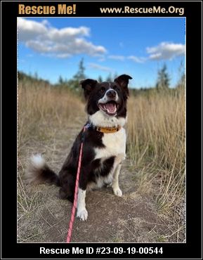 - Oregon Dog Rescue - ADOPTIONS - Rescue Me!