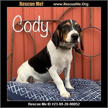 - Minnesota Dog Rescue - ADOPTIONS - Rescue Me!