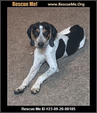 - Indiana Dog Rescue - ADOPTIONS - Rescue Me!