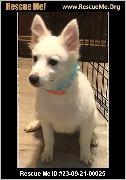 - Nebraska Dog Rescue - ADOPTIONS - Rescue Me!