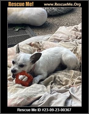 - Oregon Dog Rescue - ADOPTIONS - Rescue Me!