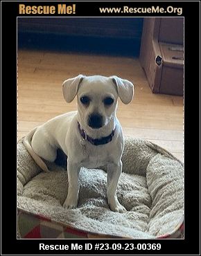 - Oregon Dog Rescue - ADOPTIONS - Rescue Me!