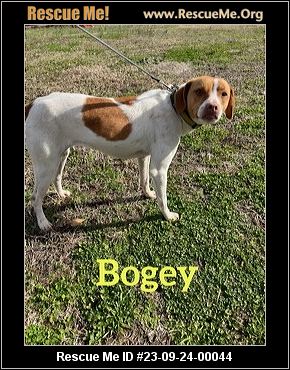 - South Carolina Dog Rescue - ADOPTIONS - Rescue Me!