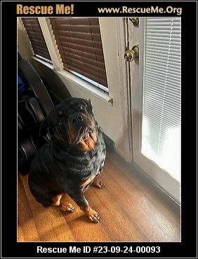 - Texas Rottweiler Rescue - ADOPTIONS - Rescue Me!