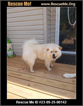 - Missouri Dog Rescue - ADOPTIONS - Rescue Me!