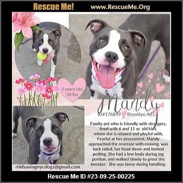 - New York Dog Rescue - ADOPTIONS - Rescue Me!