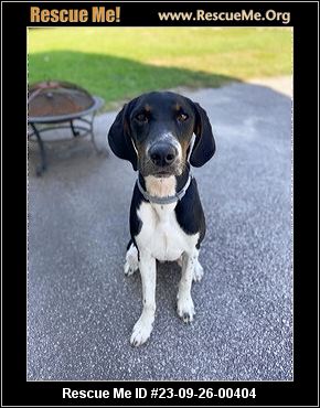 - South Carolina Dog Rescue - ADOPTIONS - Rescue Me!