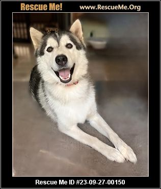 - Missouri Dog Rescue - ADOPTIONS - Rescue Me!