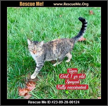 - New Jersey Cat Rescue - ADOPTIONS - Rescue Me!