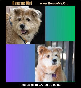 - Oregon Dog Rescue - ADOPTIONS - Rescue Me!