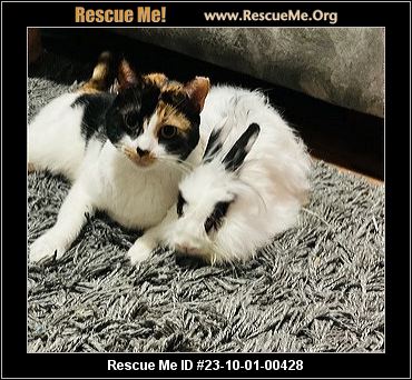- Georgia Rabbit Rescue - ADOPTIONS - Rescue Me!