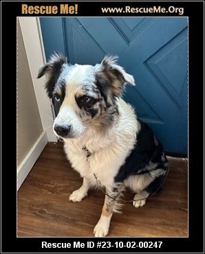 - Oregon Dog Rescue - ADOPTIONS - Rescue Me!