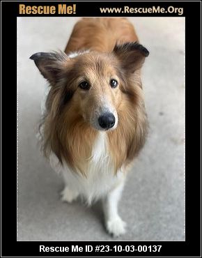 - Wisconsin Dog Rescue - ADOPTIONS - Rescue Me!