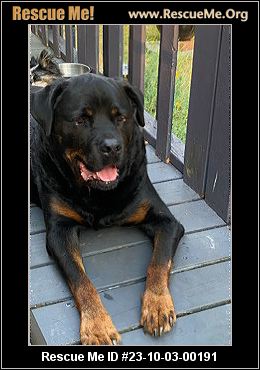 - Oregon Rottweiler Rescue - ADOPTIONS - Rescue Me!