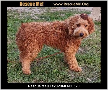 - Indiana Dog Rescue - ADOPTIONS - Rescue Me!