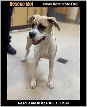 - Georgia Boxer Rescue - ADOPTIONS - Rescue Me!