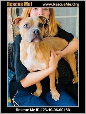 - Massachusetts Dog Rescue - ADOPTIONS - Rescue Me!
