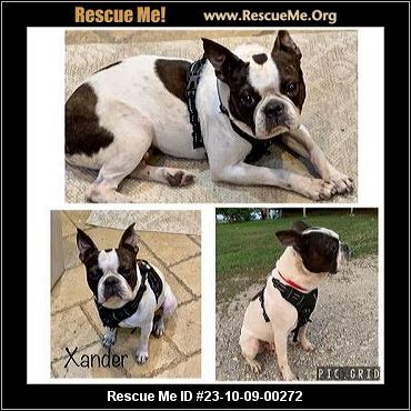 - Minnesota Dog Rescue - ADOPTIONS - Rescue Me!