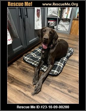 - South Carolina Dog Rescue - ADOPTIONS - Rescue Me!