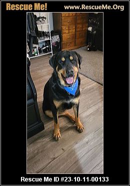 - Texas Rottweiler Rescue - ADOPTIONS - Rescue Me!