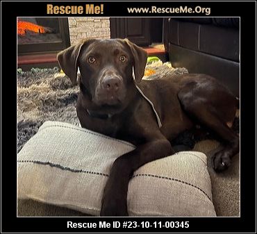 - Maryland Dog Rescue - ADOPTIONS - Rescue Me!