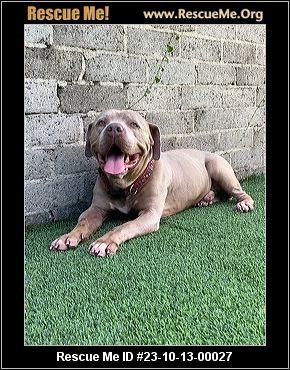 - California Mastiff Rescue - ADOPTIONS - Rescue Me!