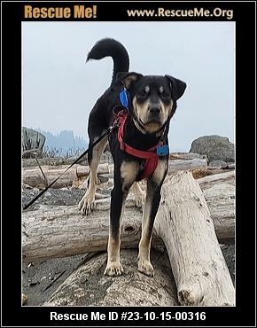 - Oregon Dog Rescue - ADOPTIONS - Rescue Me!