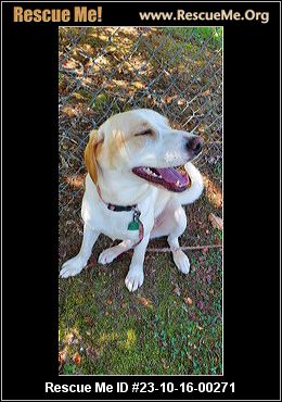 - South Carolina Dog Rescue - ADOPTIONS - Rescue Me!