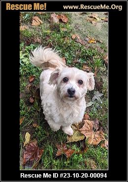 - West Virginia Dog Rescue - ADOPTIONS - Rescue Me!