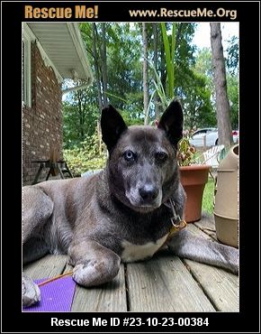 - New York Dog Rescue - ADOPTIONS - Rescue Me!