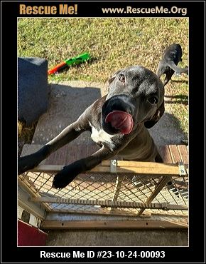 - South Carolina Dog Rescue - ADOPTIONS - Rescue Me!