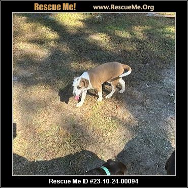 - South Carolina Dog Rescue - ADOPTIONS - Rescue Me!