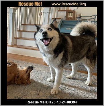 - Oregon Dog Rescue - ADOPTIONS - Rescue Me!