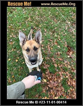 - Pennsylvania German Shepherd Rescue - ADOPTIONS - Rescue Me!