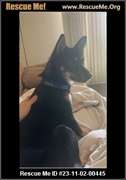 - Nebraska Dog Rescue - ADOPTIONS - Rescue Me!